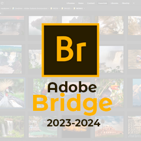 MG Soporte y Programas